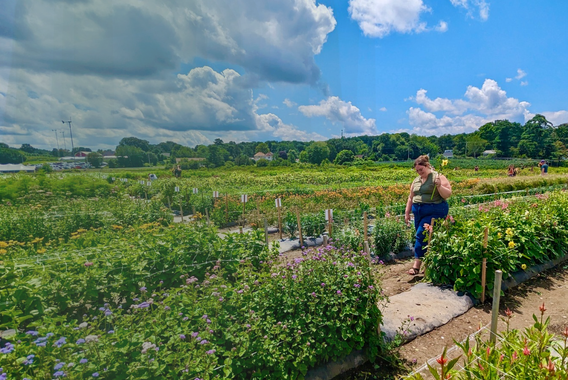 Sarah Yancey Studio, LLC